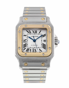 The Most Comprehensive Guide to All Cartier Watch Models - Watch Blogging